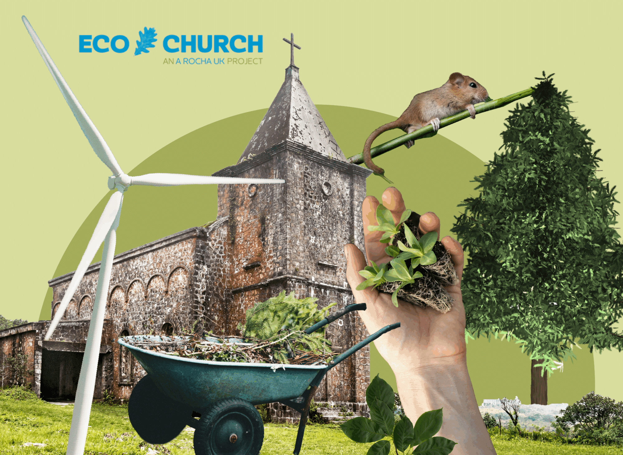 Care for Creation - The Diocese of Southwark