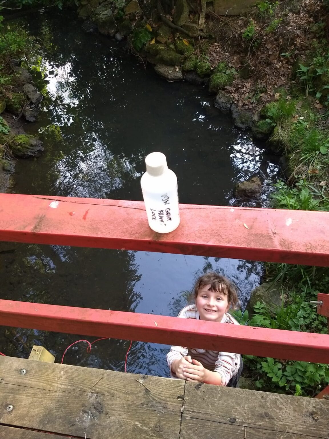 Creationtide 2025 – Peace with Creation through Local Action - The ...